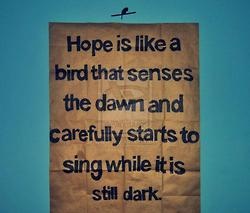 Like a bird – Witnesses to Hope